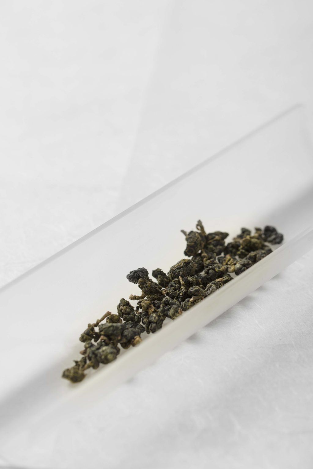 Wind from the Mountains | Ver té